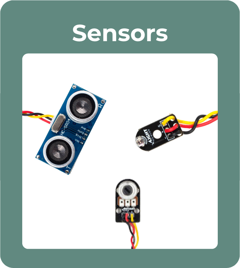 Level Up Your Hummingbird Projects | CodeJoy